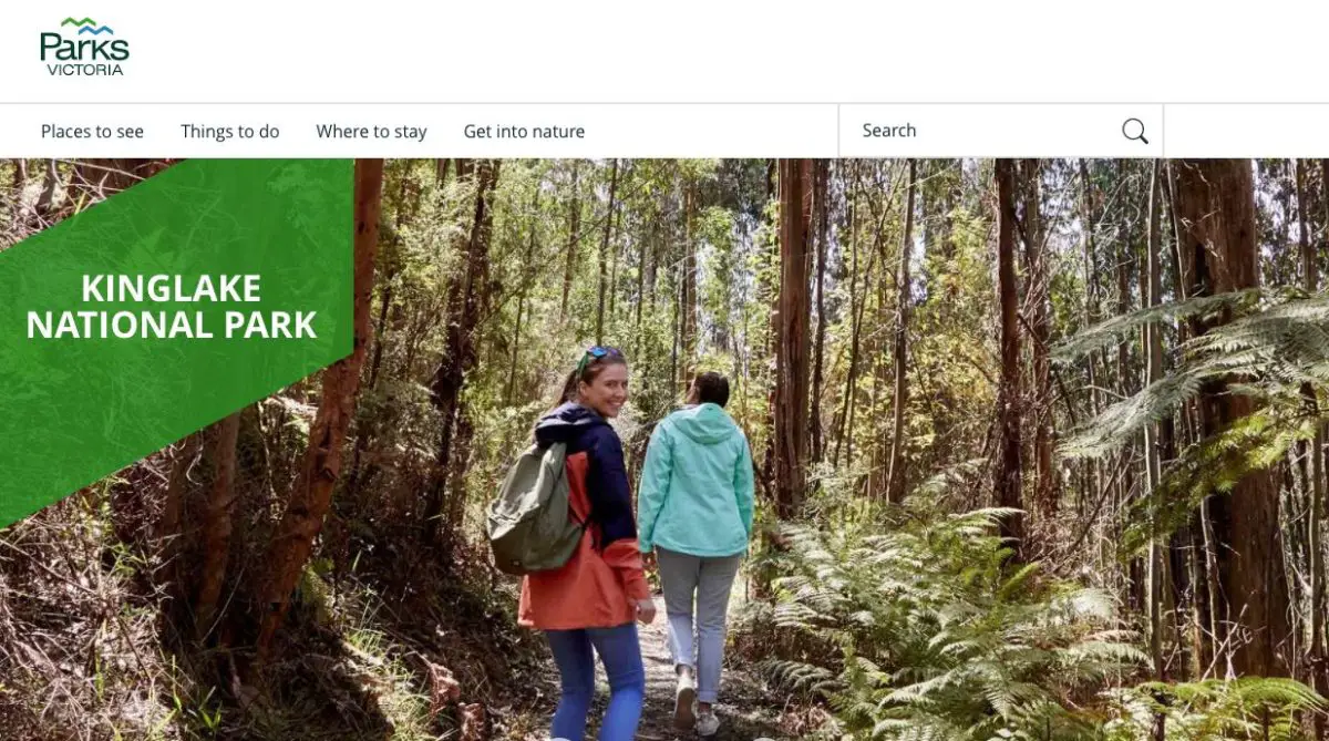 25+ Unique and Fun Bucks Night Party Ideas in Melbourne, Victoria (2023)